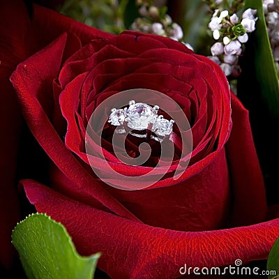 Diamond Ring In Red Rose Royalty Free Stock Image - Image: 18482786