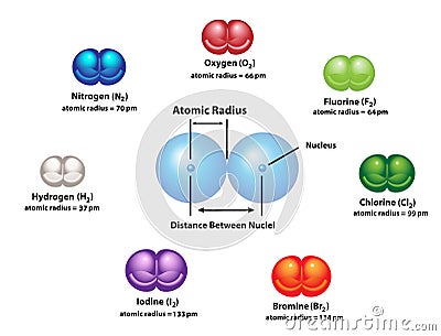 Atomic Radius Of Diatomic Molecules Vector Illustration | CartoonDealer ...