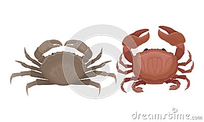 Different Crabs As Decapod Crustaceans With Claws Vector Set ...