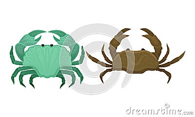 Different Crabs As Decapod Crustaceans With Claws Vector Set ...