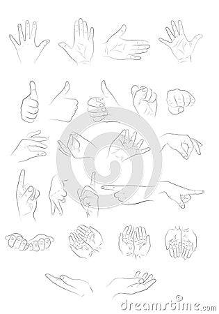 The Different Positions Of The Hands Cartoon Vector | CartoonDealer.com ...