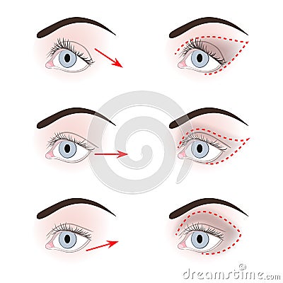 Different Shapes Of Eyelids Cartoon Vector | CartoonDealer.com #65686315