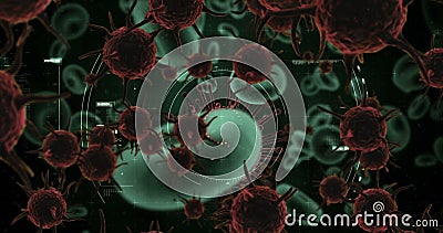 Virus Moving in the Screen with Blood Cells 4k Stock Footage - Video of ...