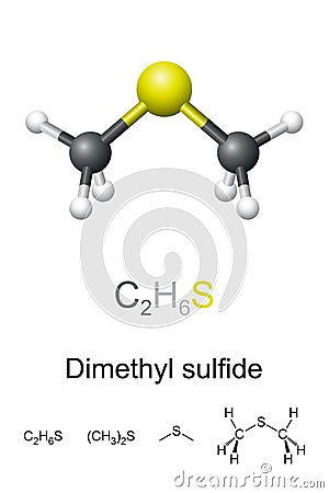 Dimethyl Sulfide, DMS, Chemical Formula And Molecule Model Cartoon ...