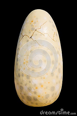 Dinosaur Egg Royalty Free Stock Images - Image: 2486959