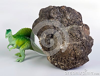 Dinosaur Poop. Stock Photo | CartoonDealer.com #57203640