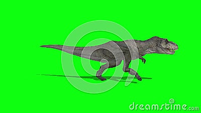 Dinosaur Running on Green Screen Stock Video - Video of large ...