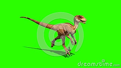 Dinosaur Running on Green Screen Stock Footage - Video of iguanodon ...