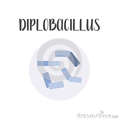 Diplobacillus. Bacteria Classification. Rod-shaped Shapes Of Bacteria ...