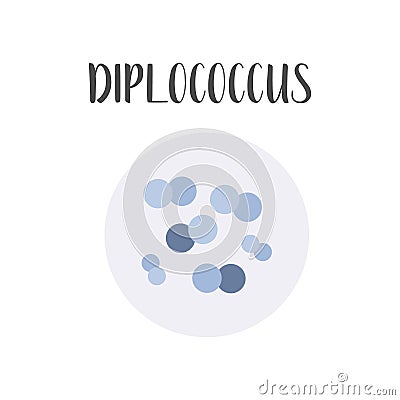 Diplococcus. Bacteria Classification. Spherical Shapes Of Bacteria ...