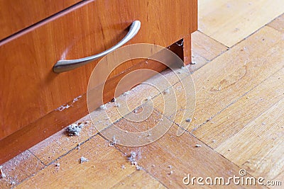 Dirty Hardwood Floor With Dust Stock Photo - Image: 53521819