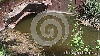 Discharge of Contaminated Substances in Water Stock Video - Video of ...