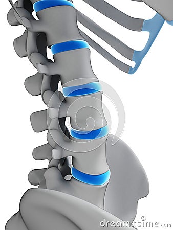 Discos Intervertebrales Foto de archivo - Imagen: 30723320
