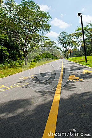 Divided Pathway Stock Photo | CartoonDealer.com #12148287