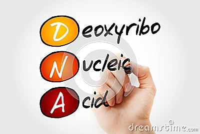 DNA - Deoxyribonucleic Acid, Acronym Stock Photo | CartoonDealer.com ...