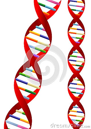 DNA Helix Royalty Free Stock Images - Image: 5146199