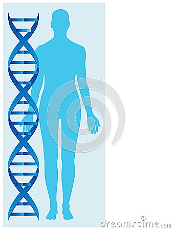 Dna And Human Body Stock Images - Image: 16103524