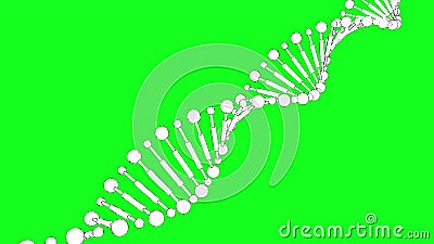 DNA Molecule Chain Animation on Green Screen Stock Video - Video of ...
