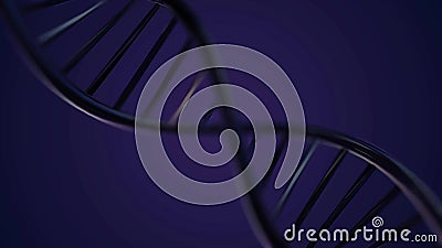 DNA Molecules on the Beautiful Backdrop. DNA Model Stock Footage ...