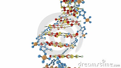 DNA strand stock footage. Video of biotechnology, molecular - 51838426