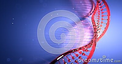 Dna Strand Structure Seamless Loopable Animation 4k UHD Stock Footage ...