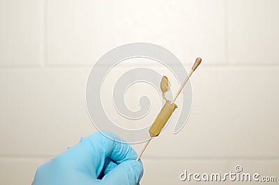 DNA Swab Stock Photo - Image: 3080240