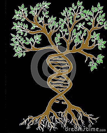 DNA AND TREE Royalty-Free Stock Image | CartoonDealer.com #146523124