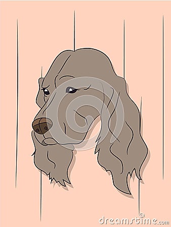 Dog Portrait Profile, Look Down Stock Vector - Illustration of sight ...