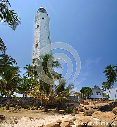 Dondra Head Stock Image | CartoonDealer.com #22722859