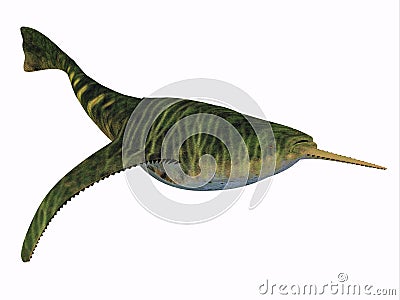 Doryaspis Fish On White Stock Photography | CartoonDealer.com #33843596