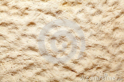 Dough Texture Royalty-Free Stock Photography | CartoonDealer.com #42424307