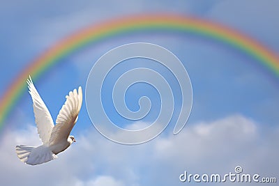 Dove And Rainbow Stock Image - Image: 8302601