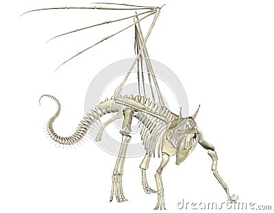 Dragon Skeleton Stock Images - Image: 3483684