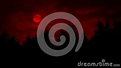Scary Red Moon Above the Trees Stock Footage - Video of halloween, moon ...