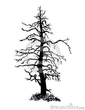 Drawing Dry Tree Sketch Illustration Cartoon Vector | CartoonDealer.com ...