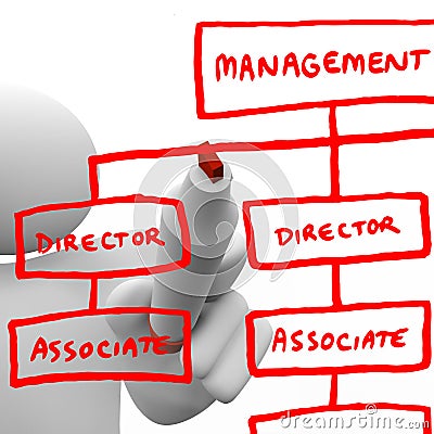 Drawing Organizational Chart On Board Royalty Free Stock Photo - Image ...