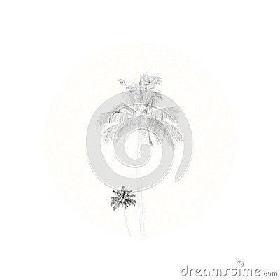 Drawing Style Palm Trees And Border Royalty-Free Stock Image ...