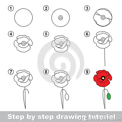 Drawing Tutorial. How To Draw A Poppy Vector Illustration ...