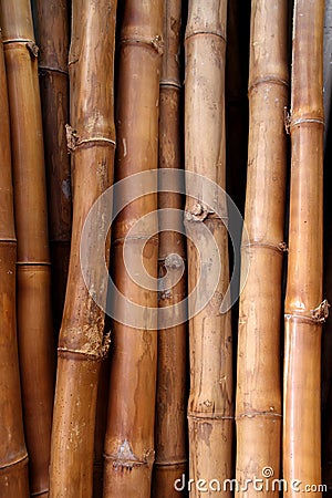 Dried Bamboo Cane Trunk Texture Royalty-Free Stock Photography ...