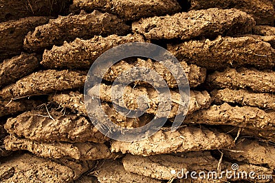 Dried Cow Dung Fuel Royalty Free Stock Images - Image: 25241539