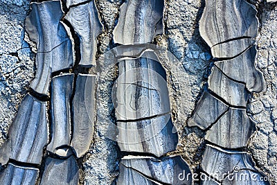 Dried Mud Texture Stock Image | CartoonDealer.com #45105769