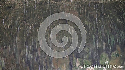 Dripping water in cave stock footage. Video of inside - 121809810