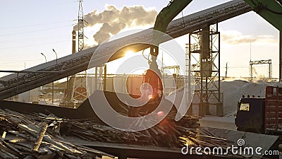 A Track Material Handler is Loading Logs Onto a Conveyor at the Factory ...