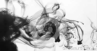 Drop of Black Ink Falling into the Water Stock Footage - Video of ...