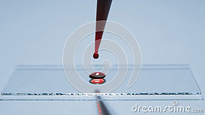 Drop of Blood between Two Microscope Slides, Microscope Glass, Sample ...