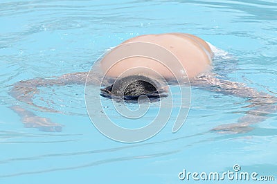 Drowning Royalty Free Stock Image - Image: 15035586
