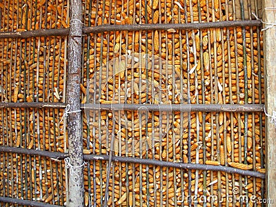 Dry Corn In Granary Stock Photo | CartoonDealer.com #84394398