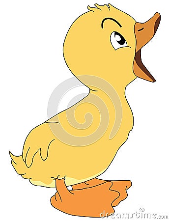 Duckling Cartoon Vector | CartoonDealer.com #135147215