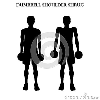 Dumbbell Shoulder Shrug Exercise Strength Workout Illustration ...