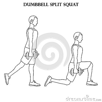 Dumbbell Split Squat Exercise Strength Workout Vector Illustration ...